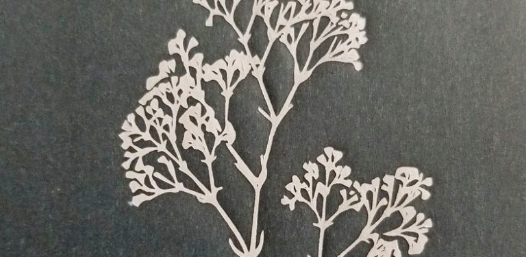 Foil Embossing & Stamping | Make a Lasting Impression | Werner Printing